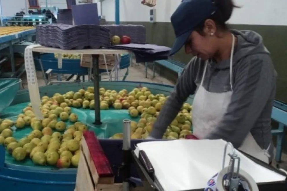 Cerraron la paritaria del empaque para la temporada 2026 | NoticiasNQN