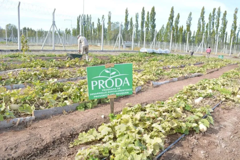 Firmaron un convenio para la continuidad del PRODA | NoticiasNQN