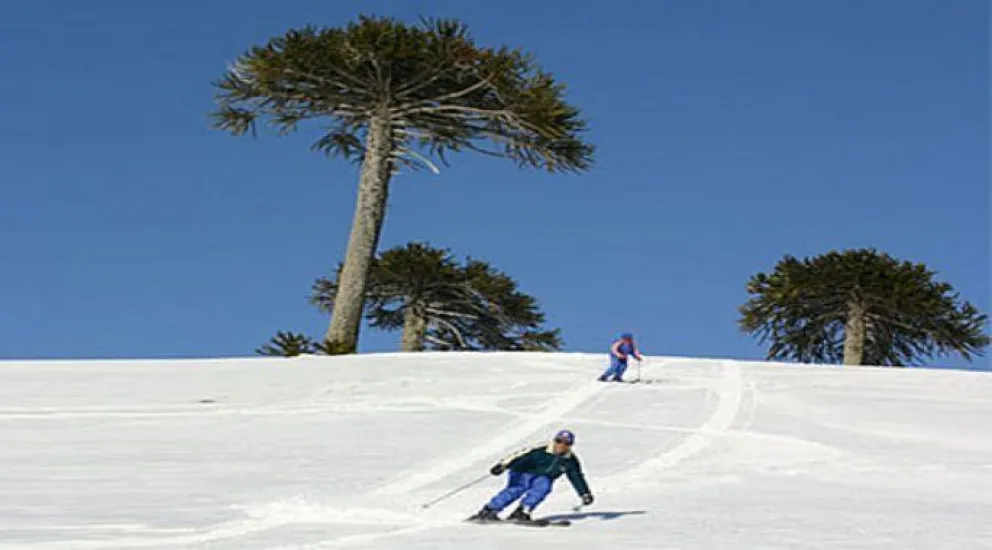 Costos para el parque de Nieve Batea Mahuida en Villa Pehuenia y ...