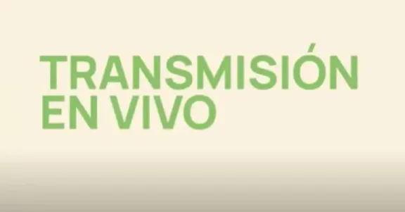 Video. Presentan el lanzamiento del "Programa Neuquén Financia" | NoticiasNQN