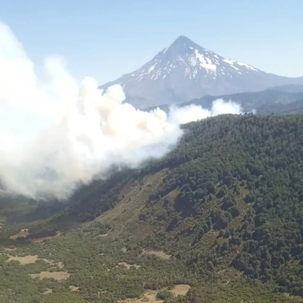 Incendio en Valle Magdalena: ya afectó más de 4.100 hectáreas | NoticiasNQN