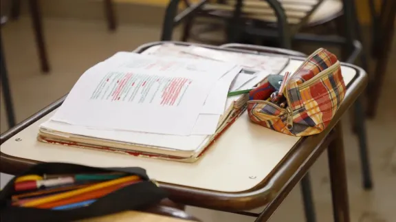 La Escuela Primaria N° 28 de Andacollo seguirá sin clases para abordar ...
