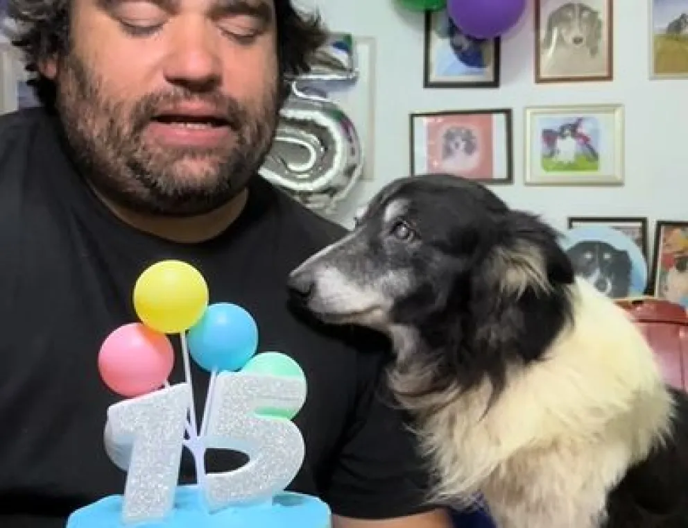 Pipo, el perro viral, celebró su cumpleaños 15 y emocionó en redes ...