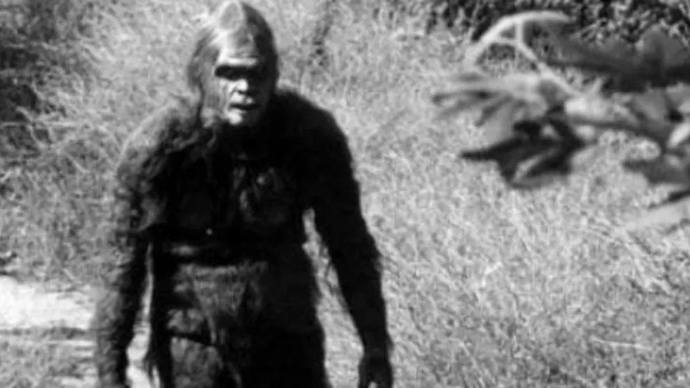 Apareció el “Ucumar” en Salta: escalofriante video desató pánico y ...