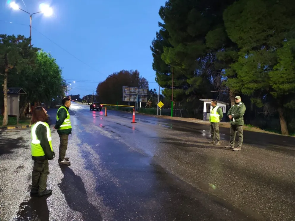 Fortalecen los controles de alimentos con la reapertura del puesto ...