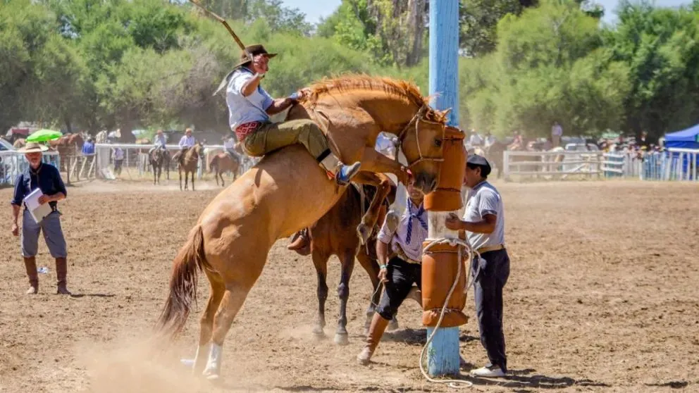 La Fiesta del Chacarero y del Hombre de Campo fue declarada Fiesta ...